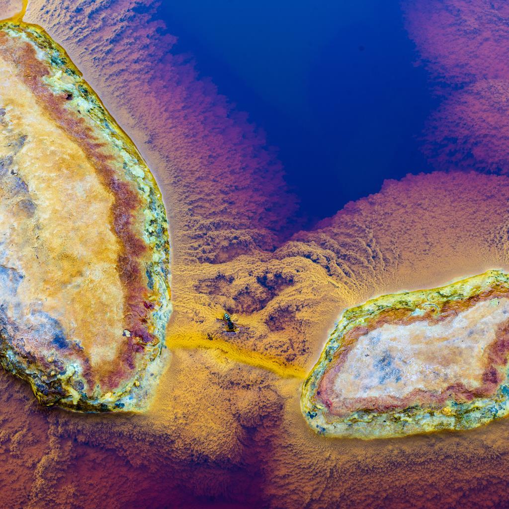 One small step for microorganisms: what extremophiles on Earth can ...