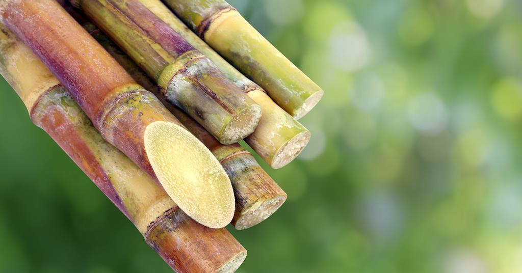 Sucrose | Podcast | Chemistry World