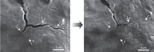 Self-healing battery cracks anode fracturing problem | Research ...