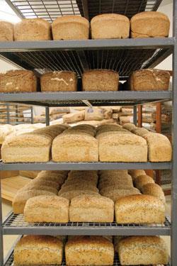 Bread chemistry on the rise | Feature | Chemistry World