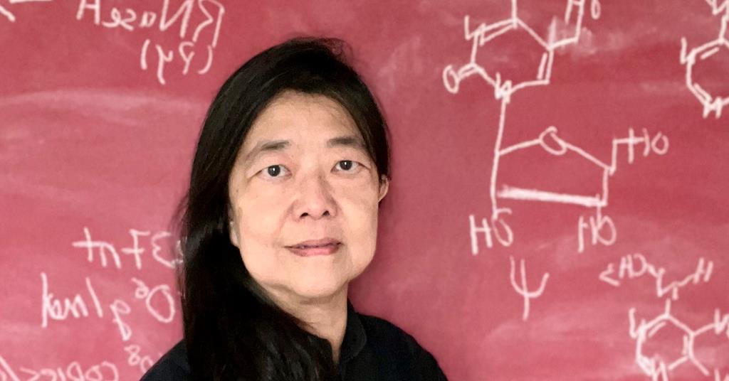 Vivian Cheung's Instagram, Twitter & Facebook on IDCrawl