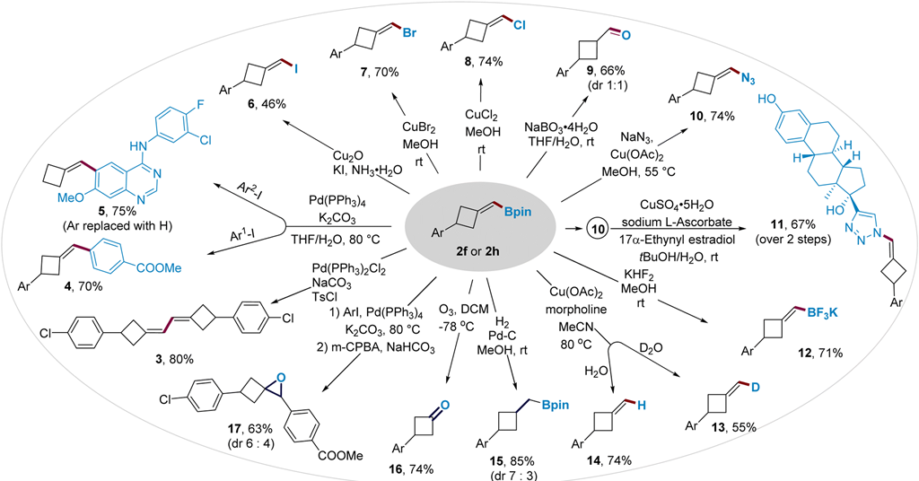 Copper catalyst behind general strategy for synthesising ...