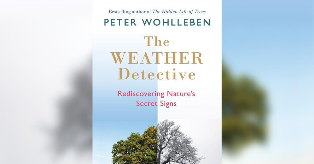 The Weather Detective: Rediscovering Nature’s Secret Signs | Review ...