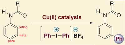Copper catalysts give meta aromatics | News | Chemistry World