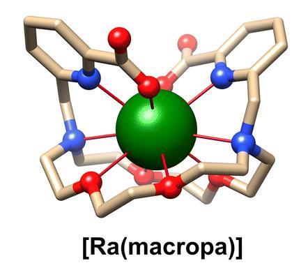 Radium chelator researchers working to improve targeted cancer ...