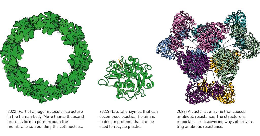 Protein design and structure prediction wins chemistry Nobel prize ...