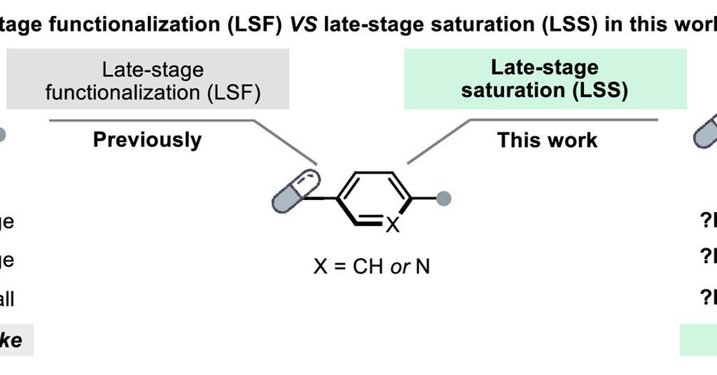 ‘Late-stage saturation’ could improve drugs' effectiveness | Research | Chemistry World