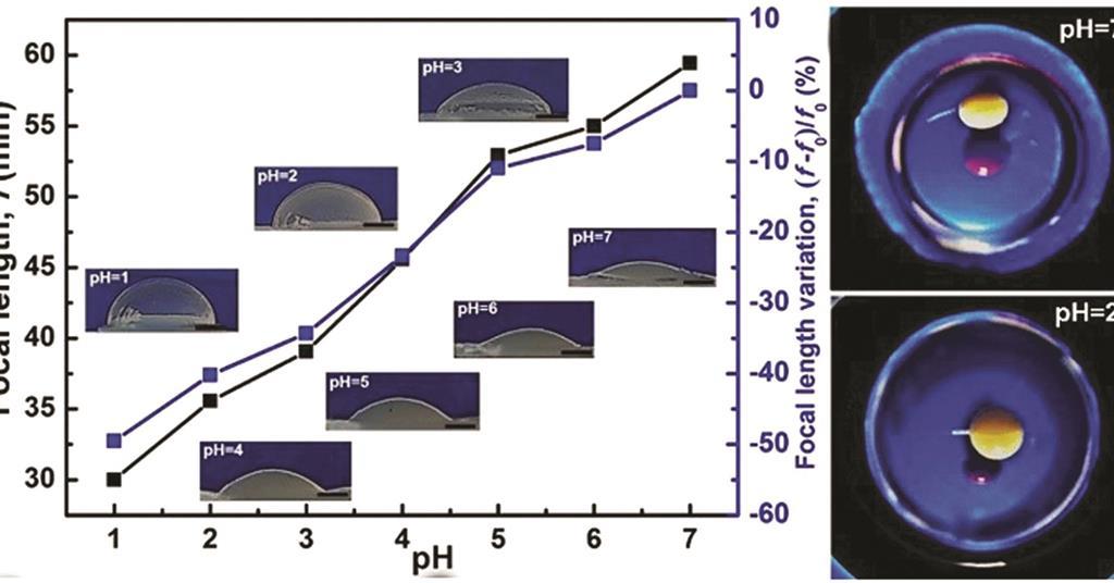 Biocompatible hydrogel focuses on lenses | Research | Chemistry World