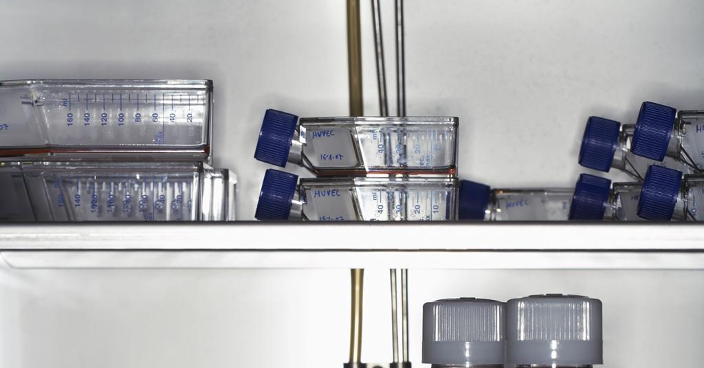 The stability challenge | Article | Chemistry World