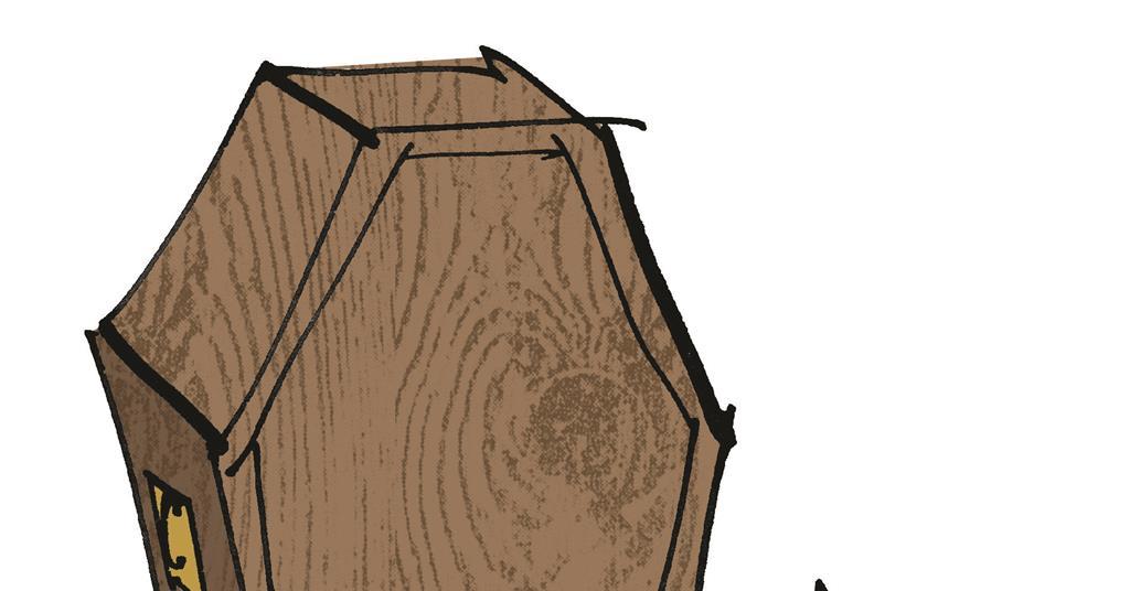 Rotting Reactions | Opinion | Chemistry World