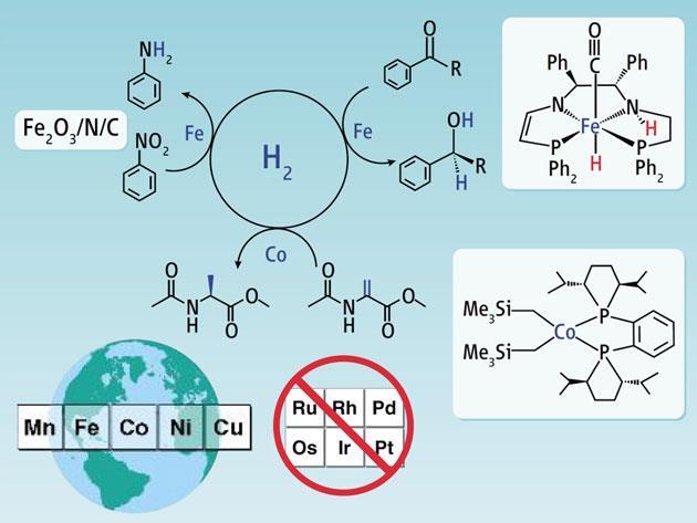 Base metal catalysts strike hydrogenation gold | Research | Chemistry World