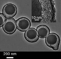 Cracking yolk-shell nanoparticles | News | Chemistry World