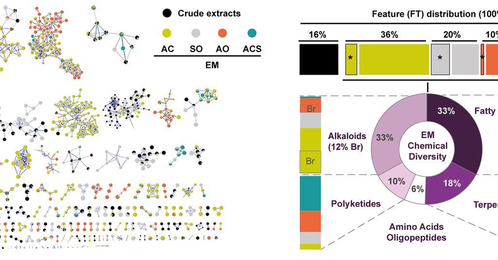 Underwater device reveals marine chemical diversity | Research ...
