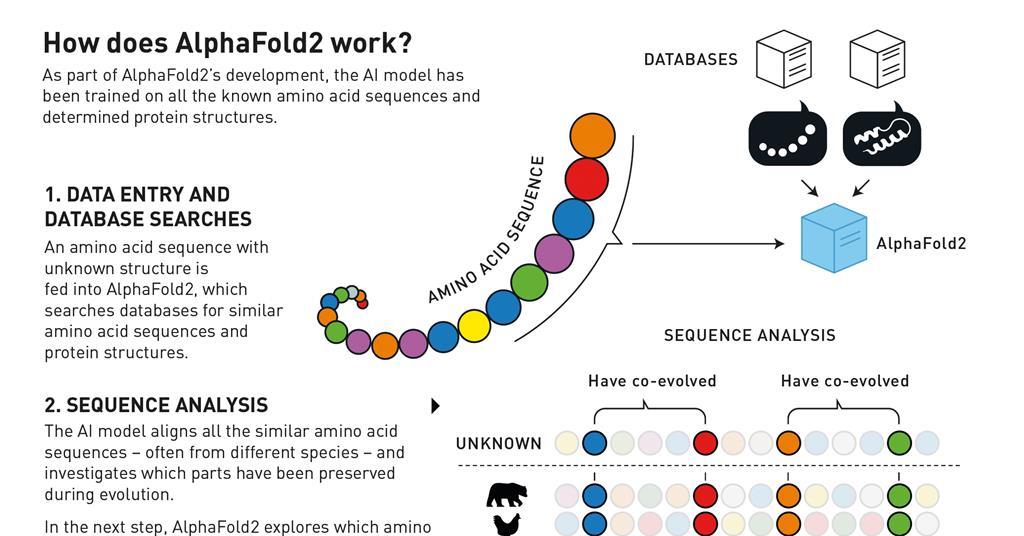 Explainer: Why have protein design and structure prediction won the ...