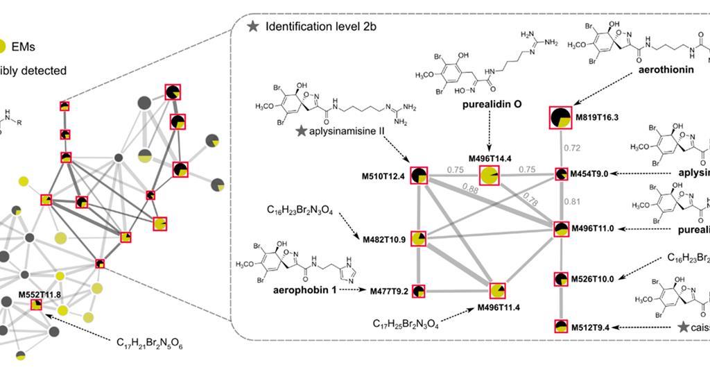 Underwater device reveals marine chemical diversity | Research ...