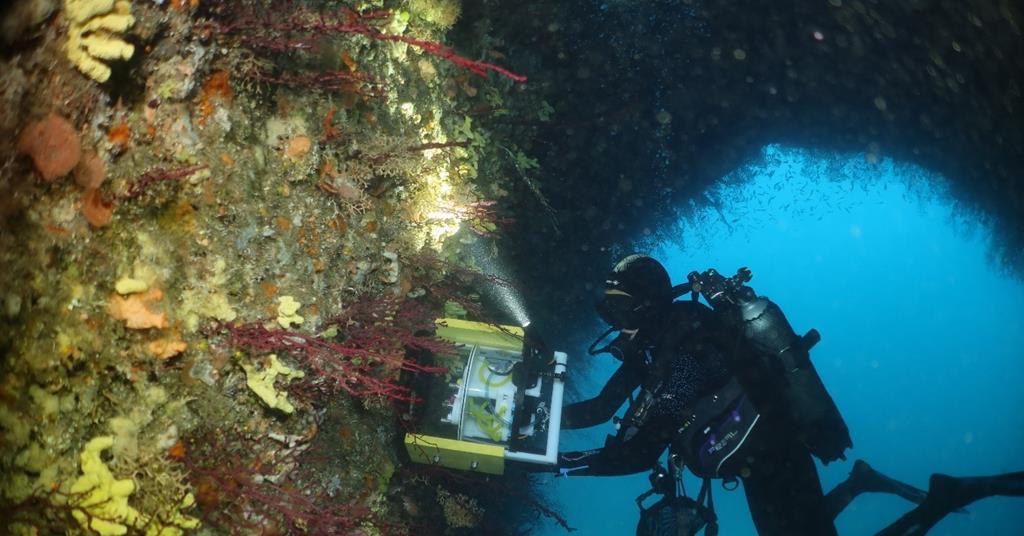 Underwater device reveals marine chemical diversity | Research ...