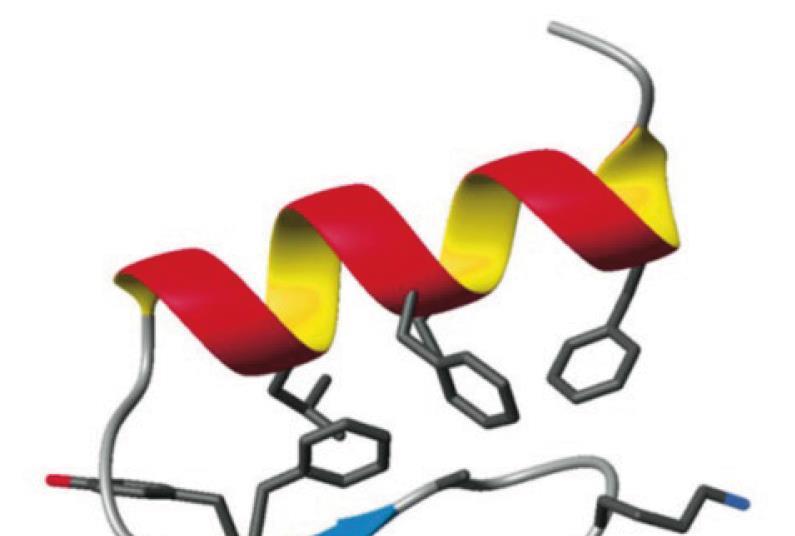 Explainer: Why have protein design and structure prediction won the 2024 Nobel prize in ...