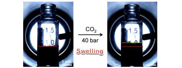 Swellable polymer sponges up CO2 | Research | Chemistry World