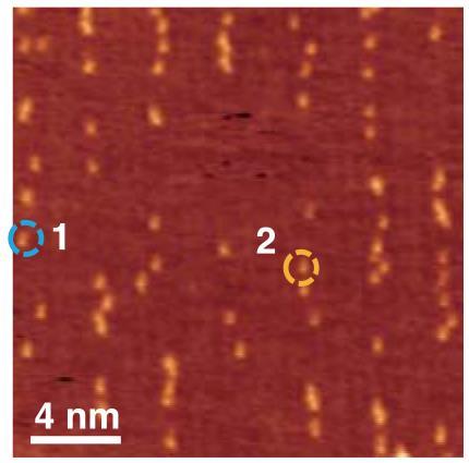 Advanced microscopy tests 60-year-old mechanism of ethylene ...