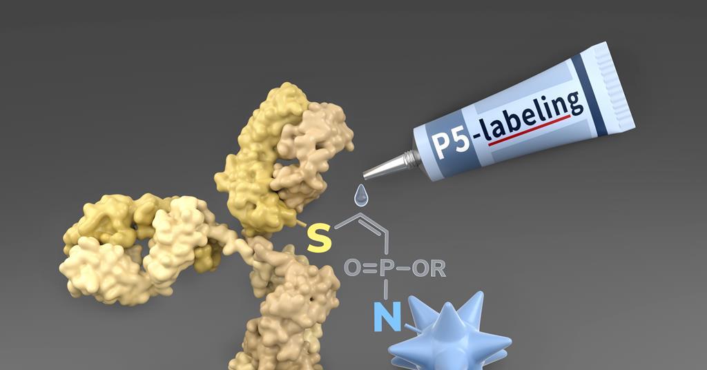 ‘Basic research is needed more than anything else’ | Business ...