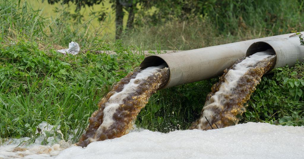 Bokep viral artis indo she is not the same as the woman as