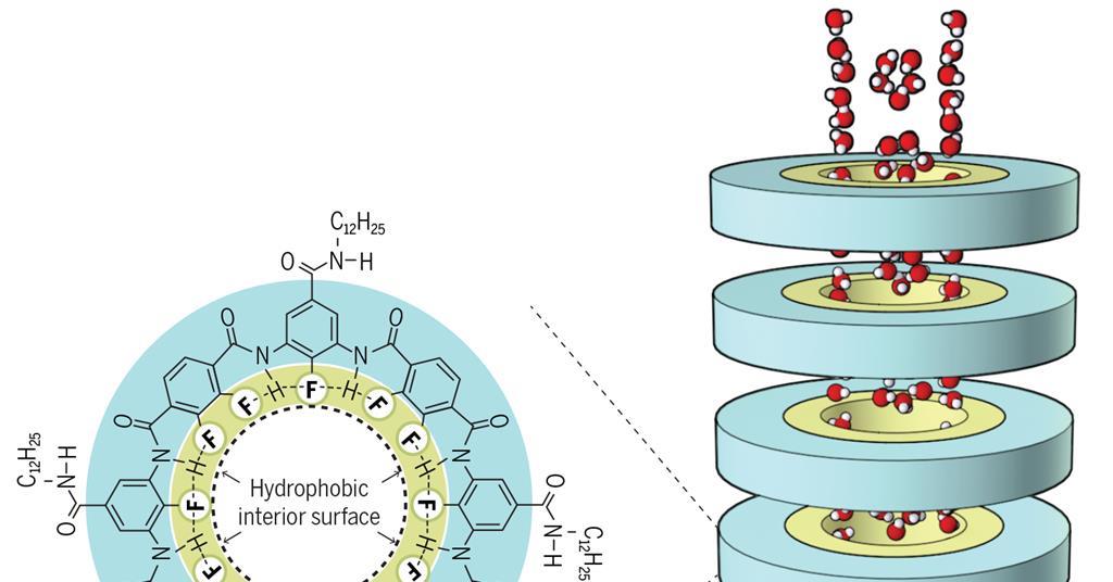 Teflon-inspired nanochannels outperform biological water transporters ...