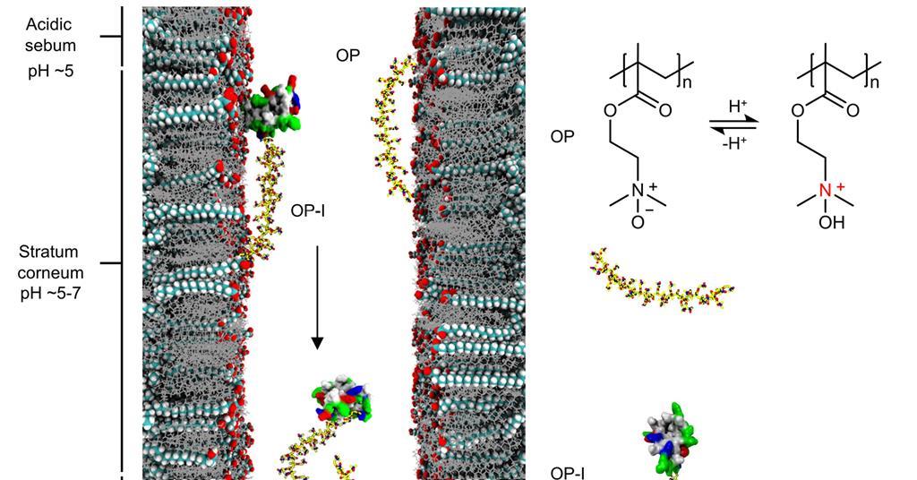Polymer breakthrough enables needle-free insulin delivery through skin ...