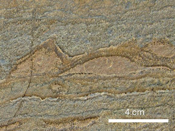 3.7 billion year old microbe fossils discovered in Greenland | Research ...