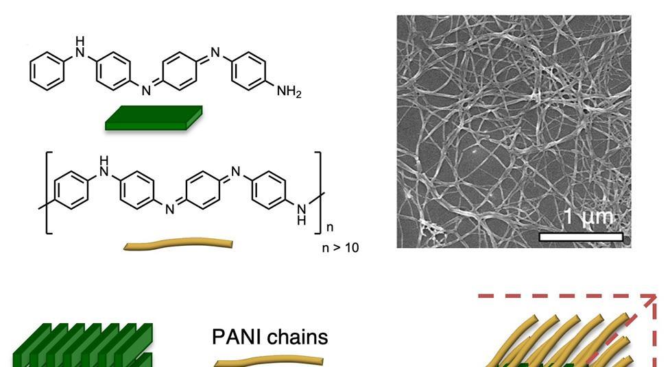 Pure conjugated polymer nanowires crystallised using oligomers ...