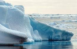 Polarising the debate? | Feature | Chemistry World