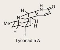 Lyconadin A | Opinion | Chemistry World