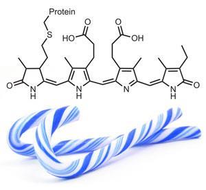 The natural food dye revolution | Feature | Chemistry World