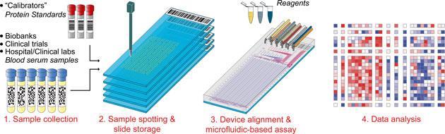 1024 samples analysed on a single chip | Research | Chemistry World