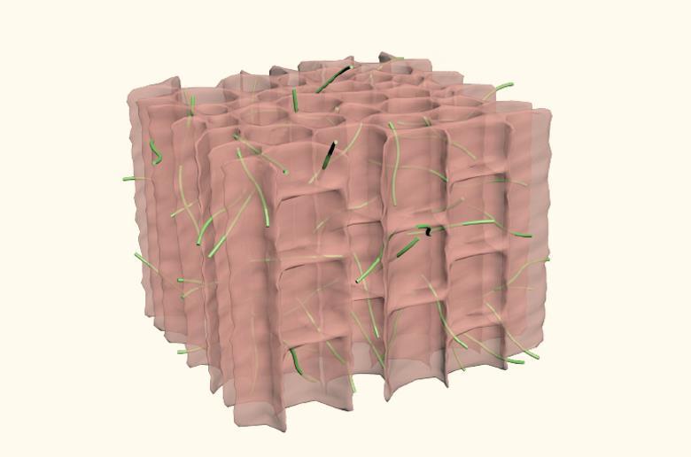 Cellulose and chitin foam can remove nearly all microplastics from ...