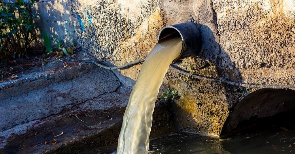 Floating films powered by light can purify water killing bacteria in ...