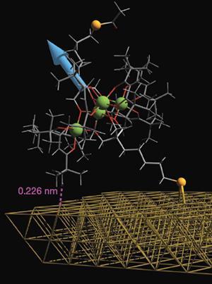 Single molecule magnets line up | News | Chemistry World