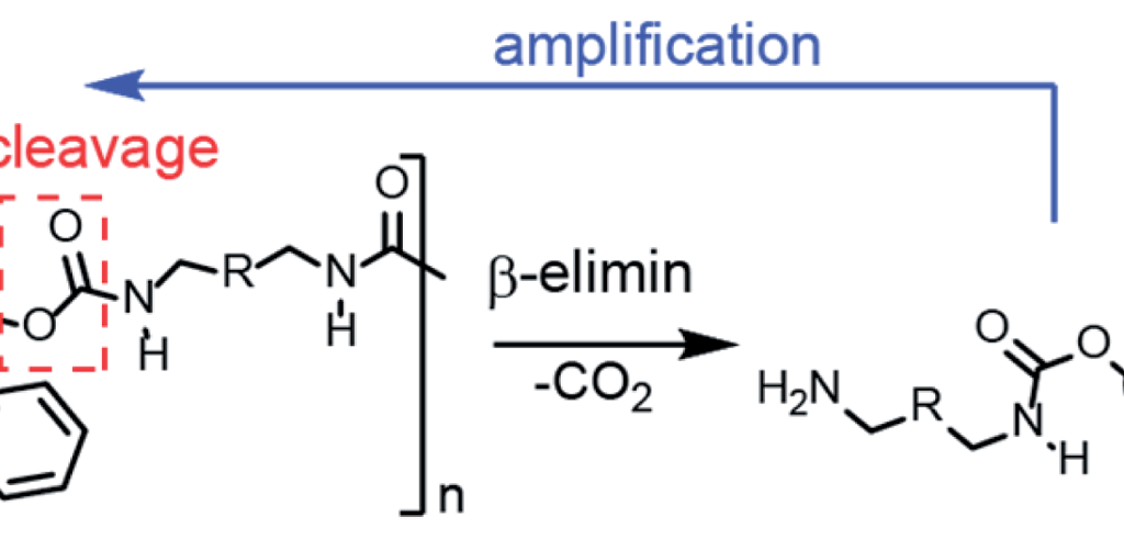 Autocatalytic process sees amine droplet degrade bulk polymer ...