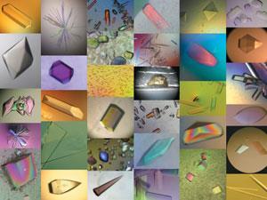 Year-long celebration to raise crystallography’s profile | News ...