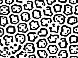 Turing patterns | Feature | Chemistry World