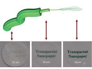 Nanopaper light scattering under control | Research | Chemistry World