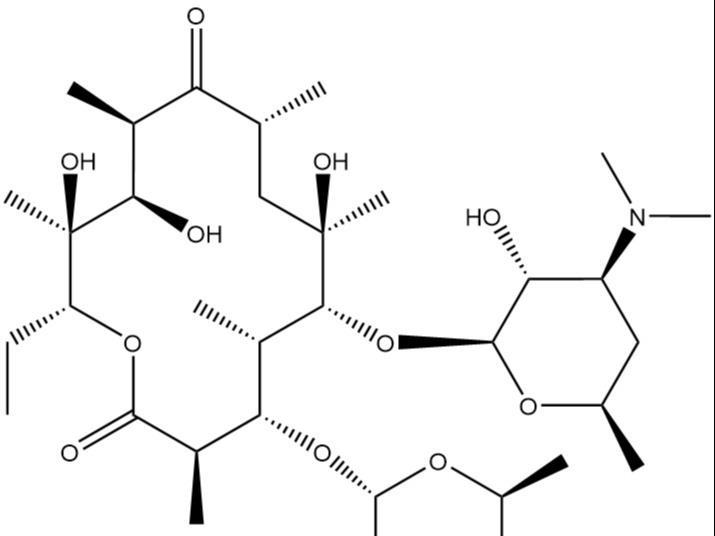 Surprise discovery as clam found to be producing complex antibiotic ...