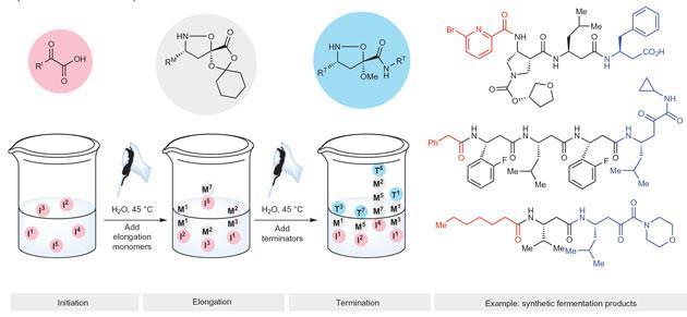 Bringing chemical synthesis to the masses | Research | Chemistry World