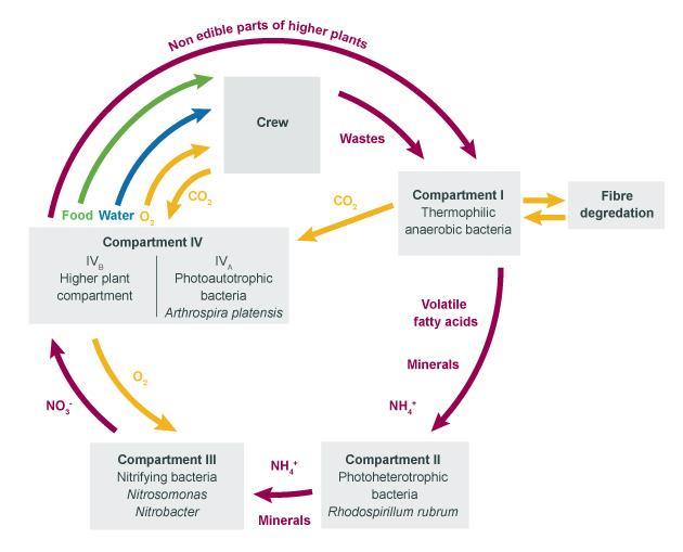 chemical support system