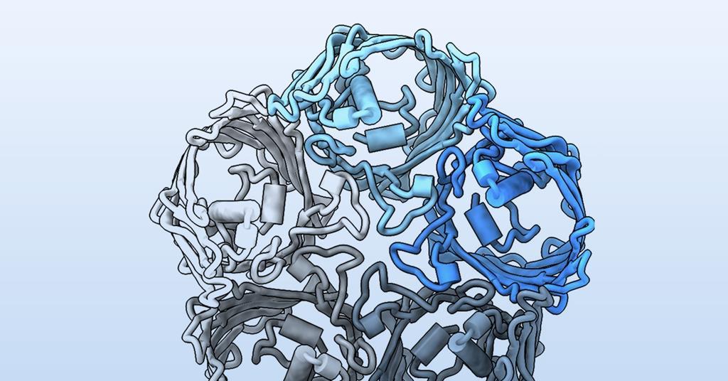 Membrane protein’s unique structure helps bacterial predator devour its ...