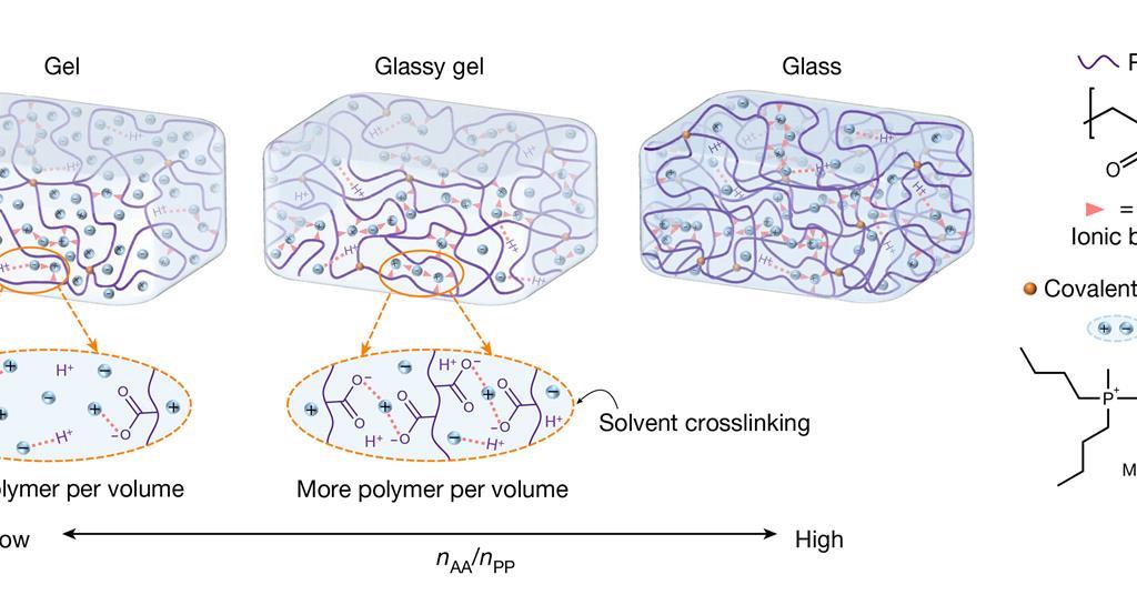 Glassy gel superpolymer is sticky and can self-heal but is also hard ...