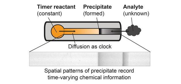 A chemical time capsule | Research | Chemistry World