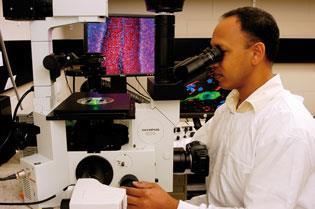 Biology meets click chemistry | Feature | Chemistry World