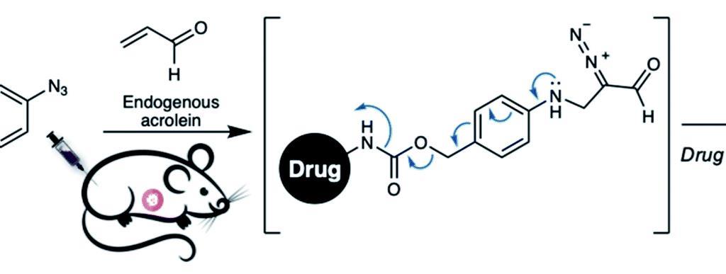 Click chemistry uses endogenous acrolein to activate cancer prodrug ...