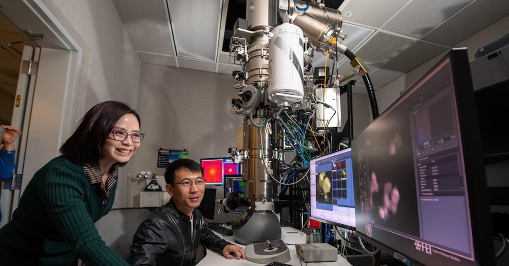 A sneak peek at the atomic secrets of copper-catalysed electroreduction ...