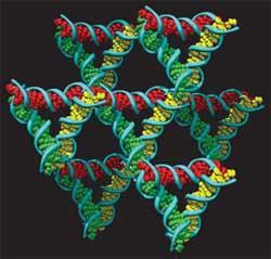 Designing 3D DNA crystals | News | Chemistry World
